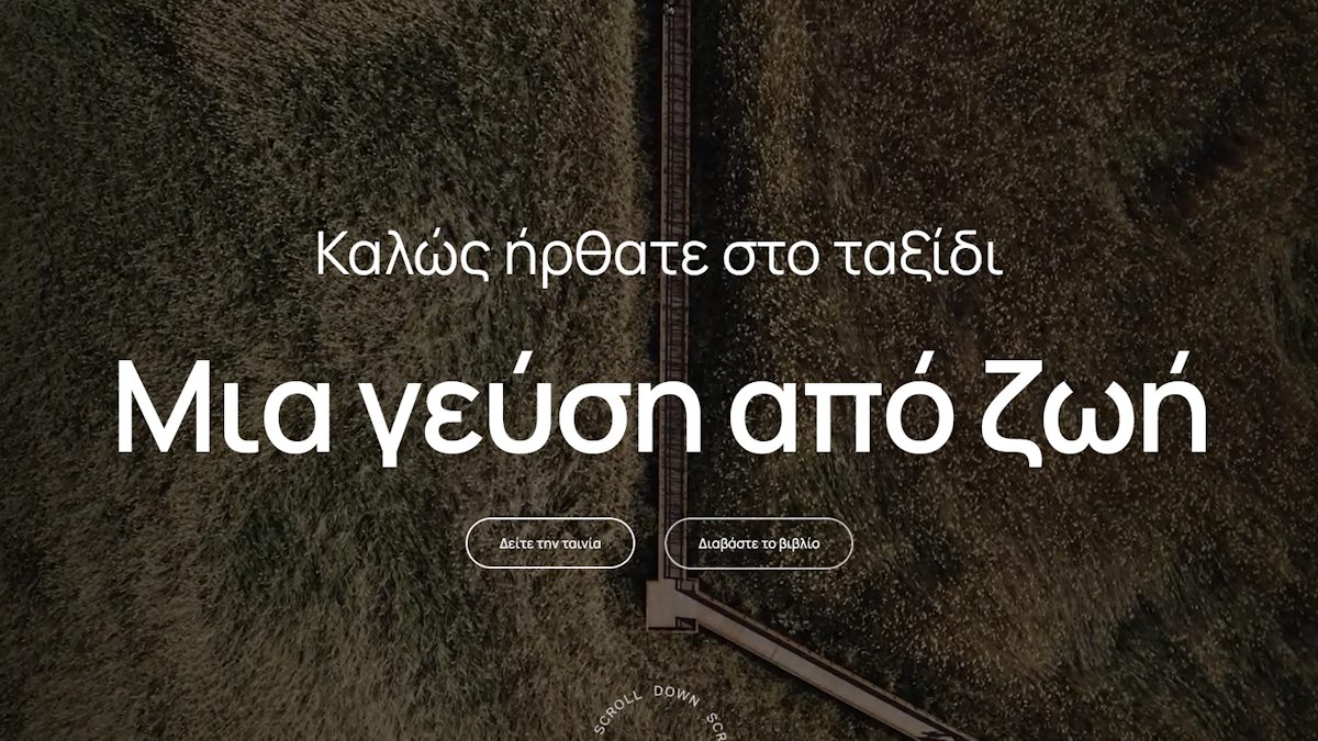Αρχική - Μια γεύση από την ζωή